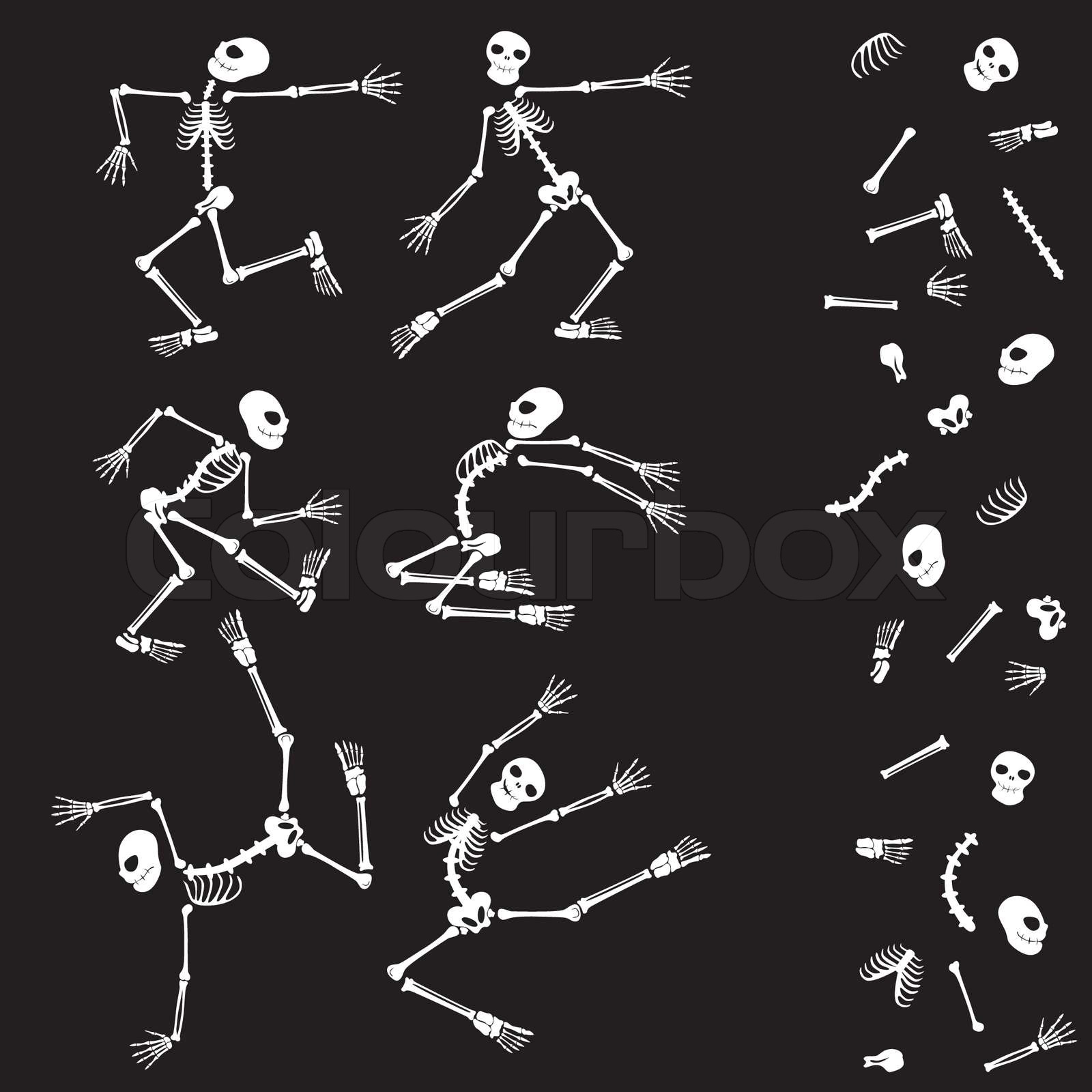 "skeleton" | Stock vector | Colourbox