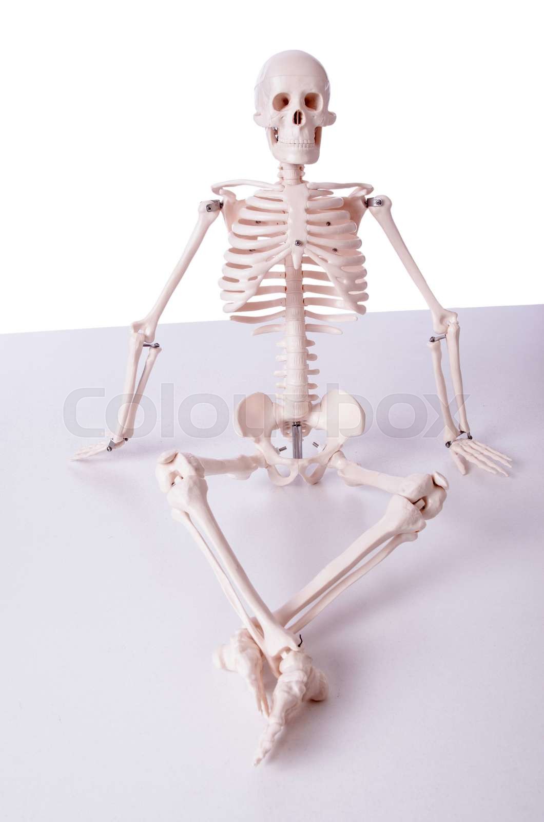 Skeleton in funny concept on white | Stock image | Colourbox