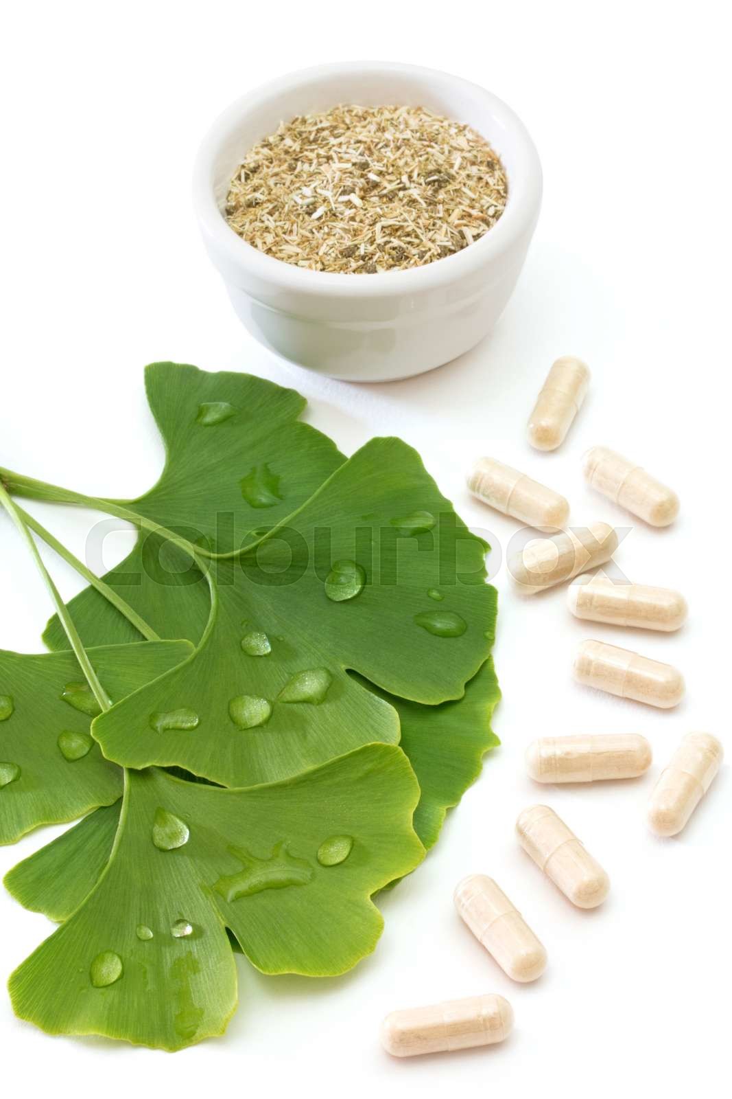 Ginkgo capsules and dried ginkgo | Stock image | Colourbox