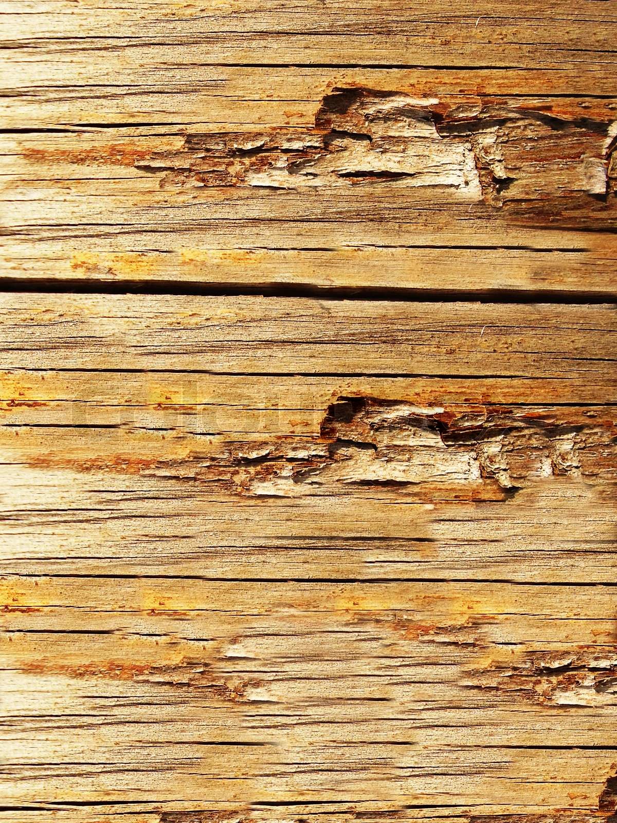 High resolution natural wood grain texture | Stock image | Colourbox