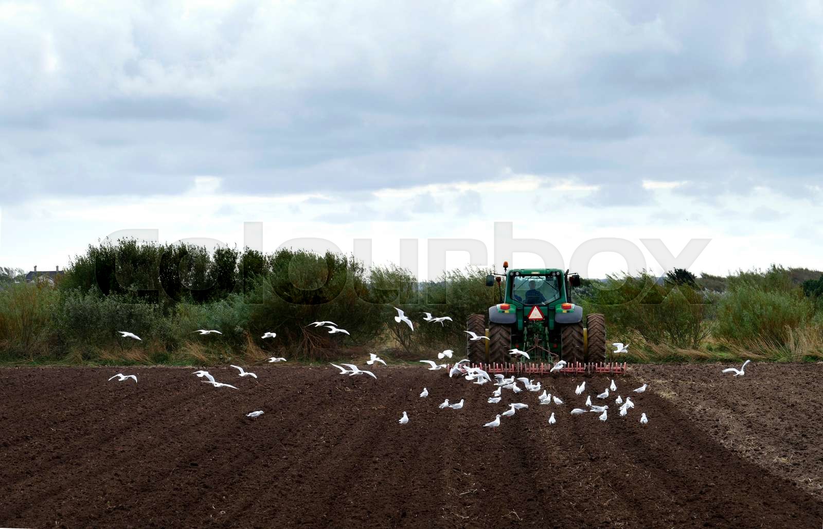 | Stock image | Colourbox