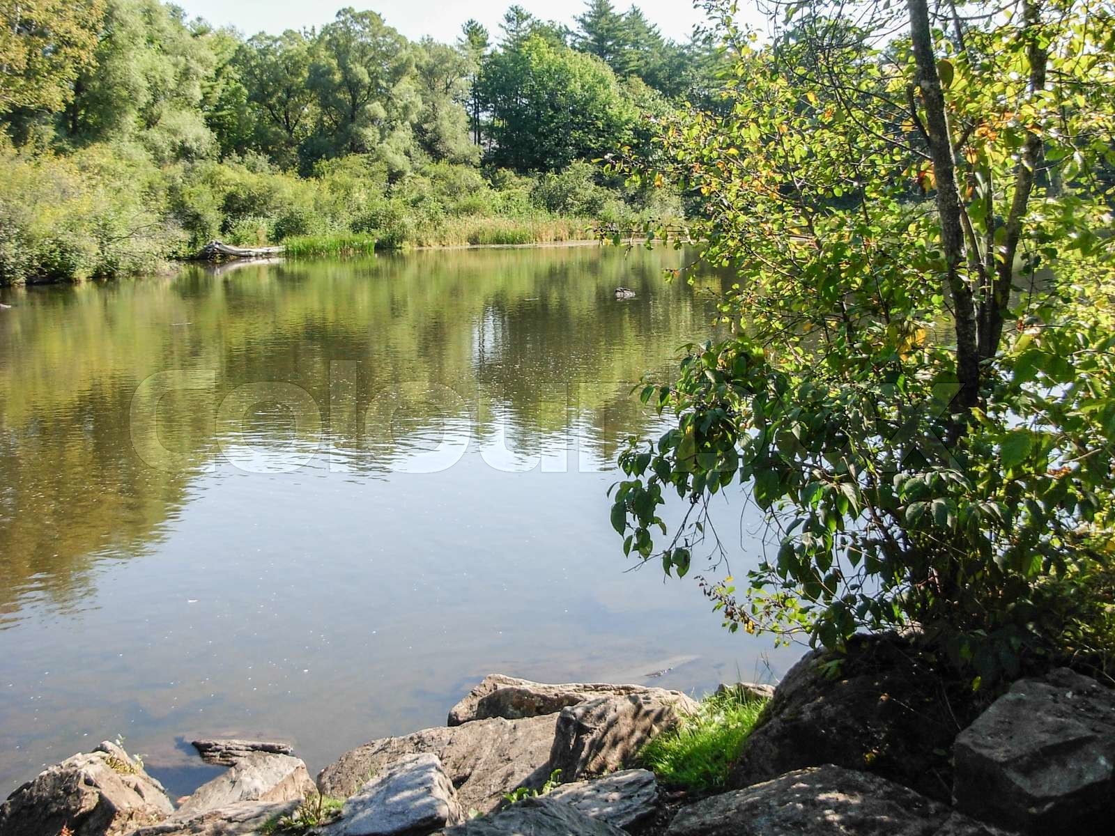 riverside scenery | Stock image | Colourbox