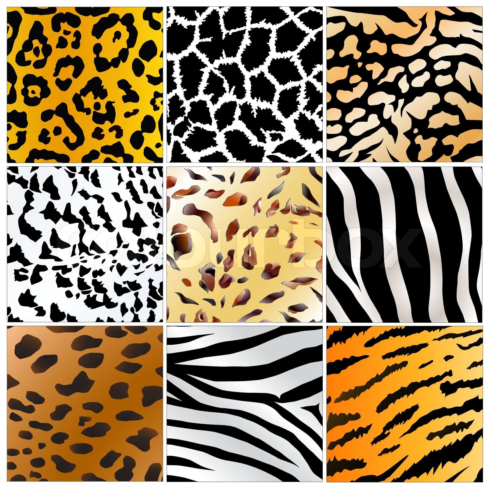 Set of nine different wild animals skin patterns | Stock vector | Colourbox