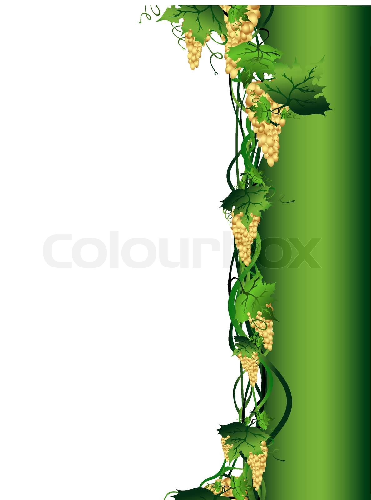 Illustration der goldenen Weinrebe mit copyspace für Ihren Text | Stock ...