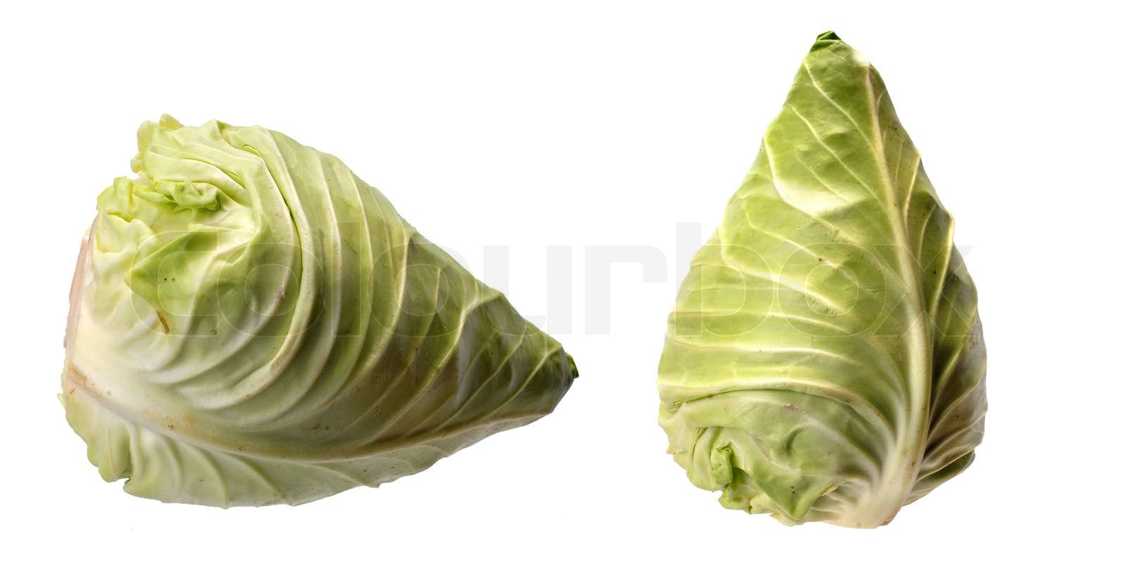Pointed cabbage, isolated on white | Stock image | Colourbox
