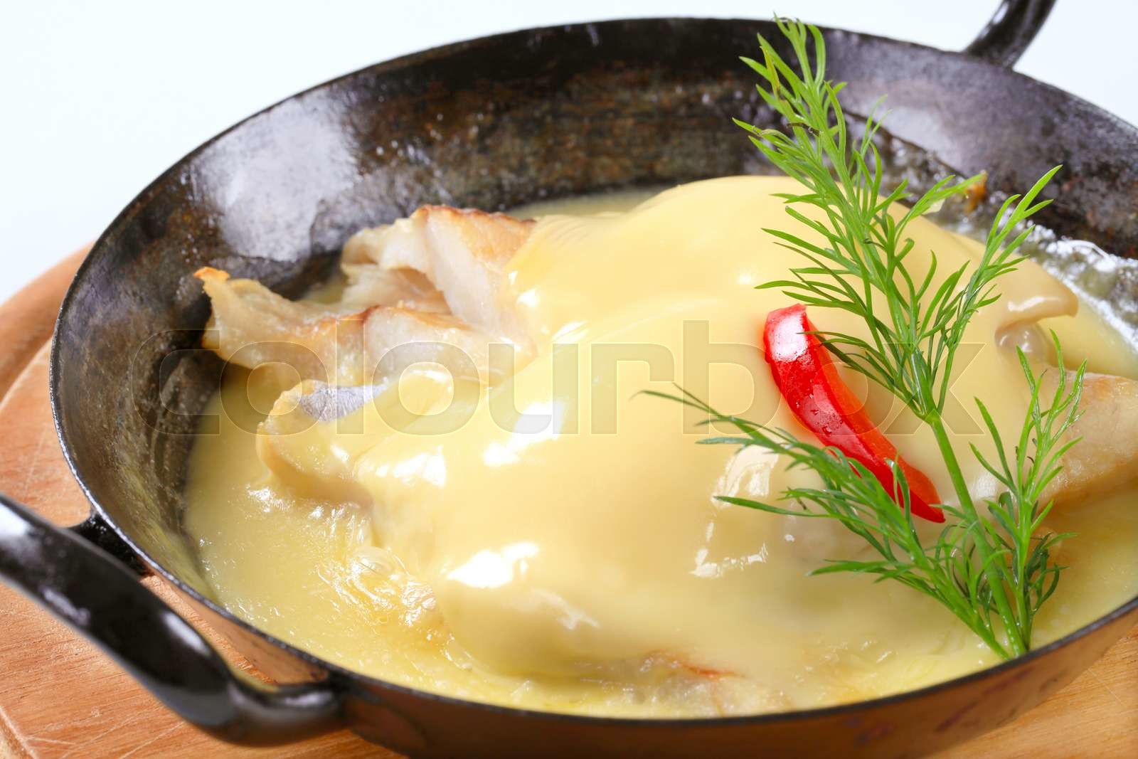 Pan seared fish with thick cheese sauce | Stock image | Colourbox