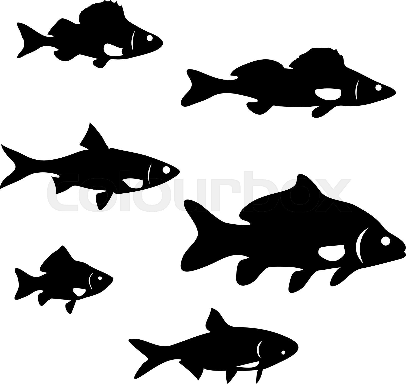 river fish | Stock vector | Colourbox