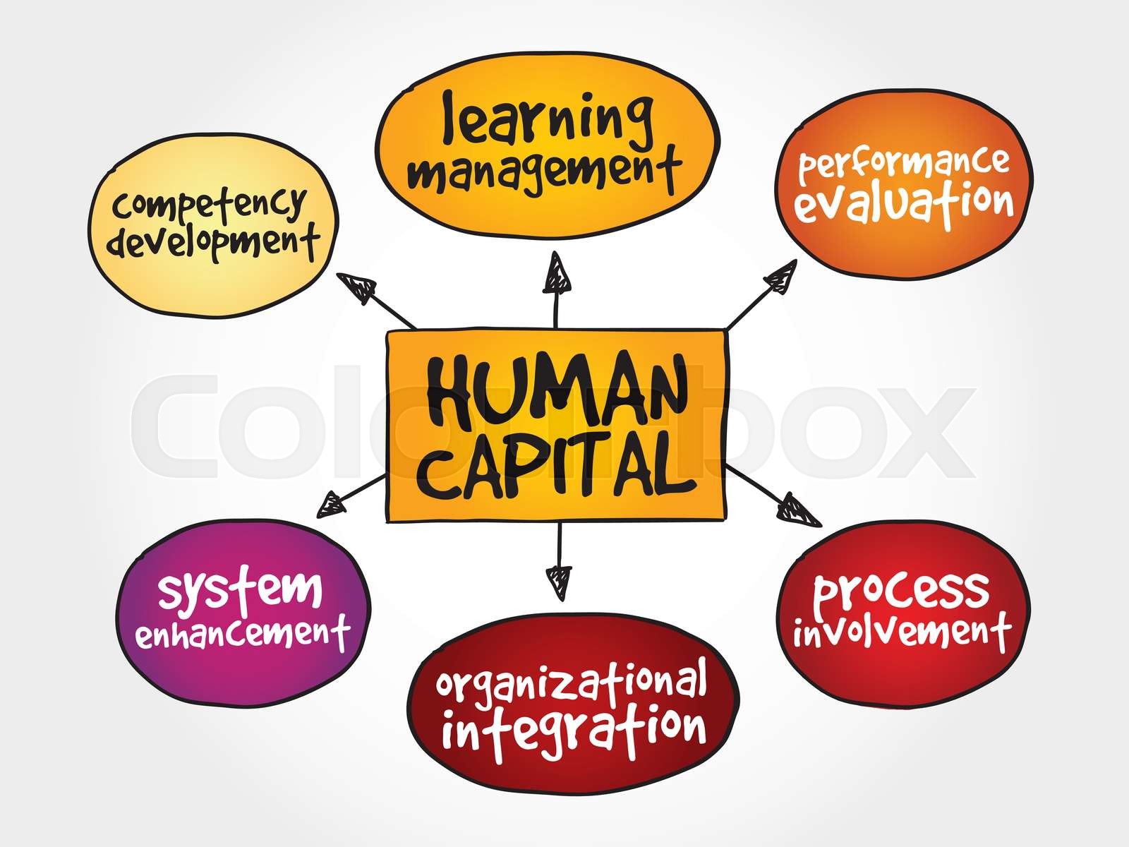 Human capital | Stock vector | Colourbox