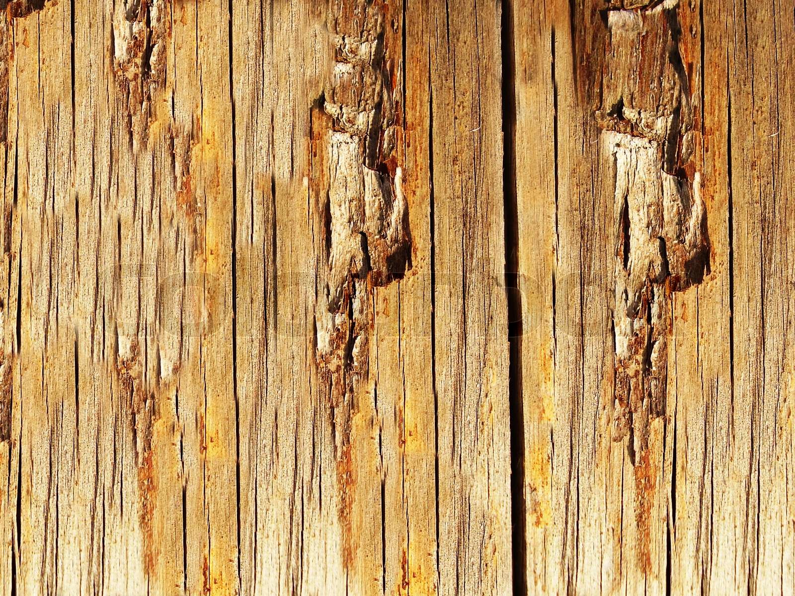 High resolution natural wood grain texture | Stock image | Colourbox