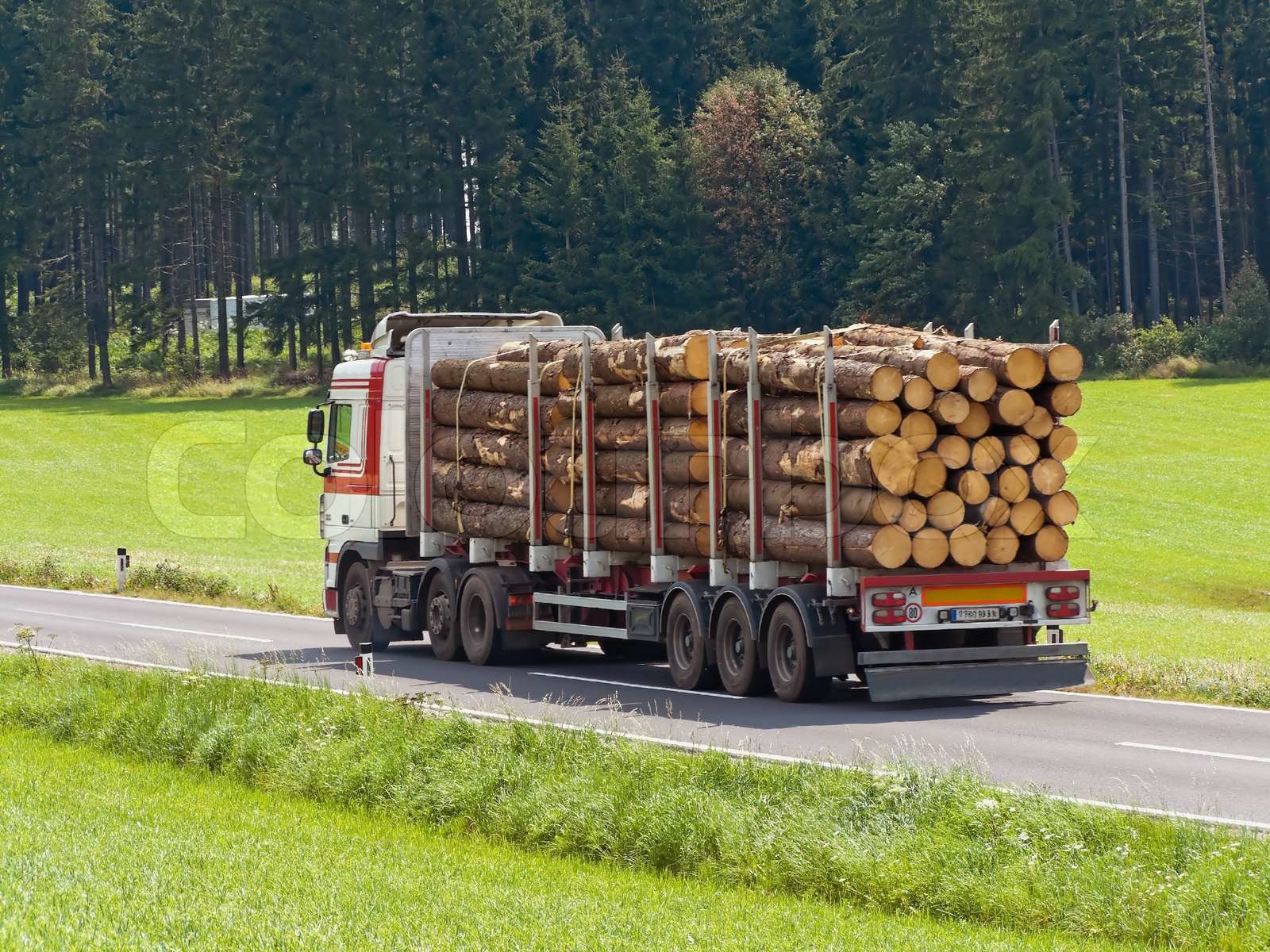 Transport of logs on a truck on the road | Stock image | Colourbox