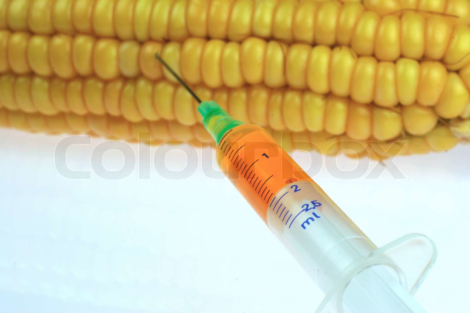 Genetically modified corn food concept with hypodermic needle | Stock ...