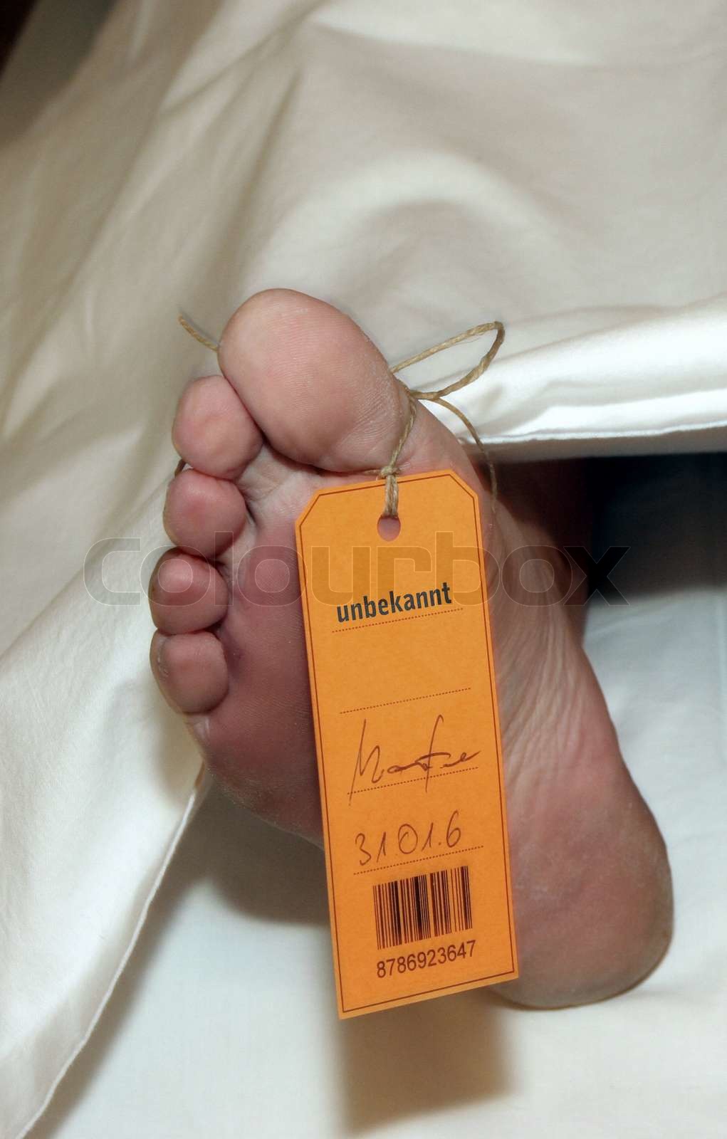 Foot of a corpse with a toe tag. | Stock image | Colourbox