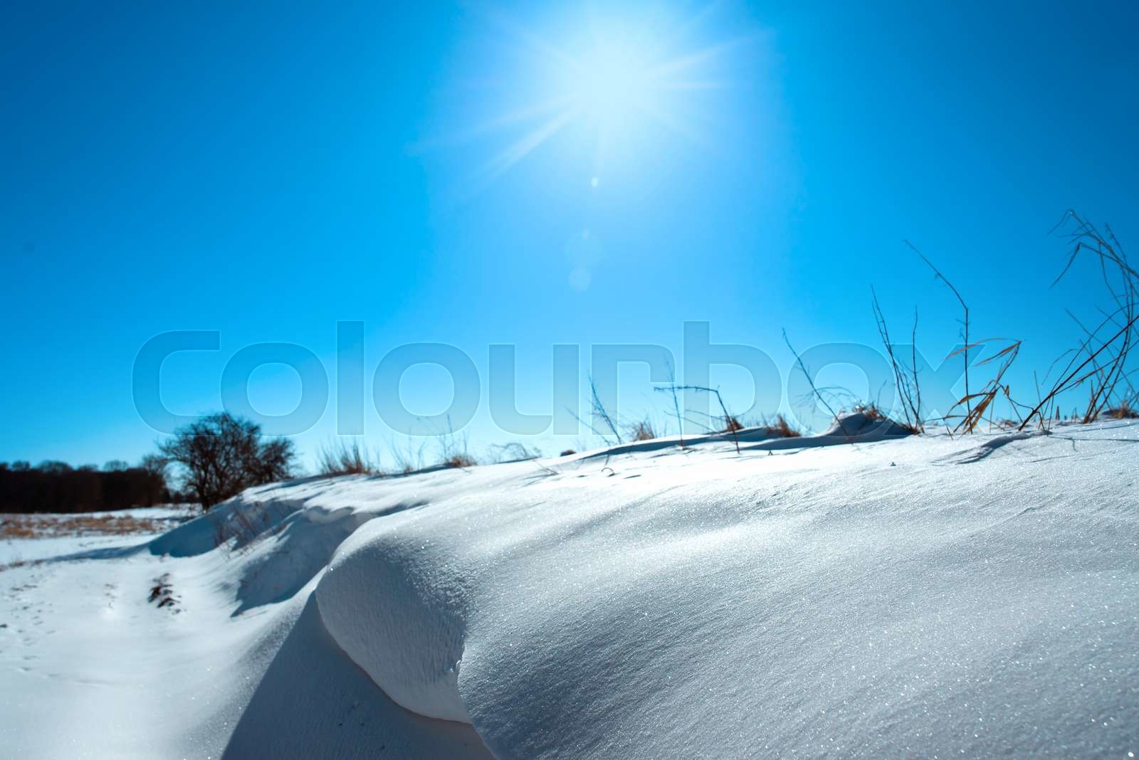 Vinter landskab med sol og blå himmel | Stock foto | Colourbox