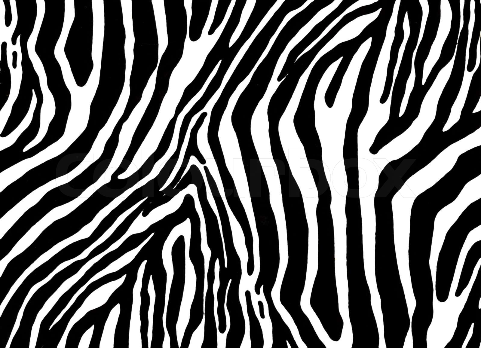 zebra pattern | Stock image | Colourbox