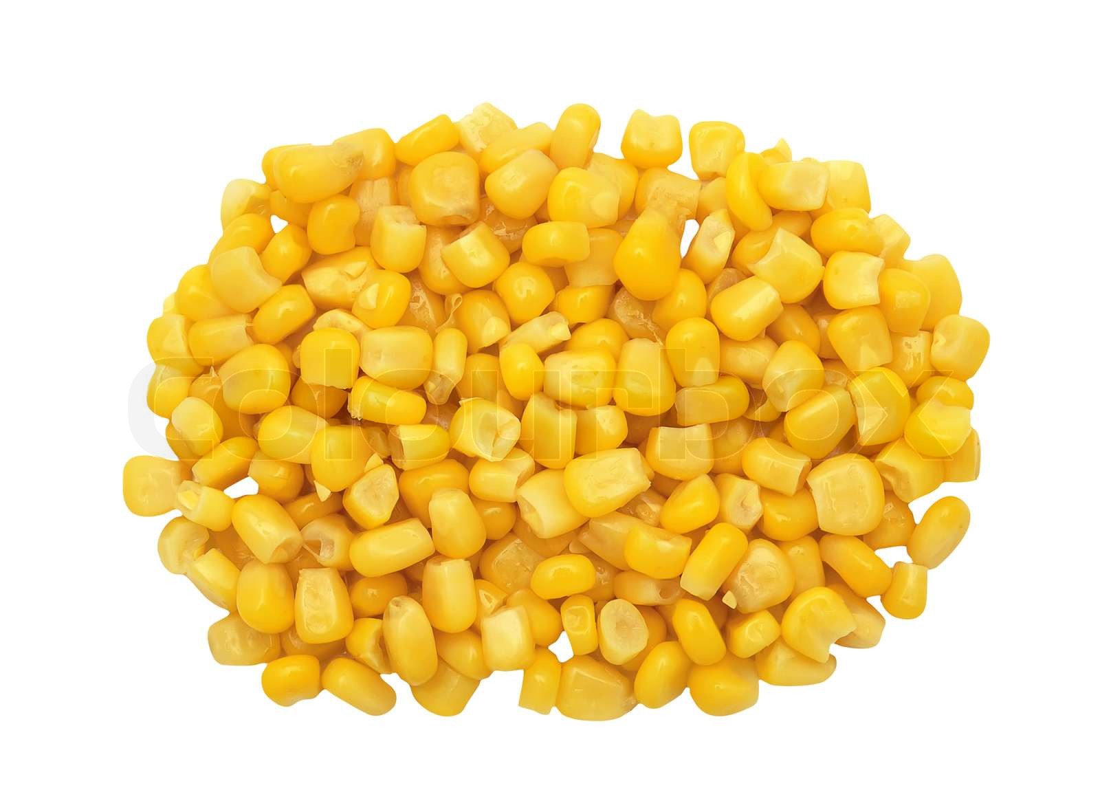 Corn grain isolated on white background | Stock image | Colourbox