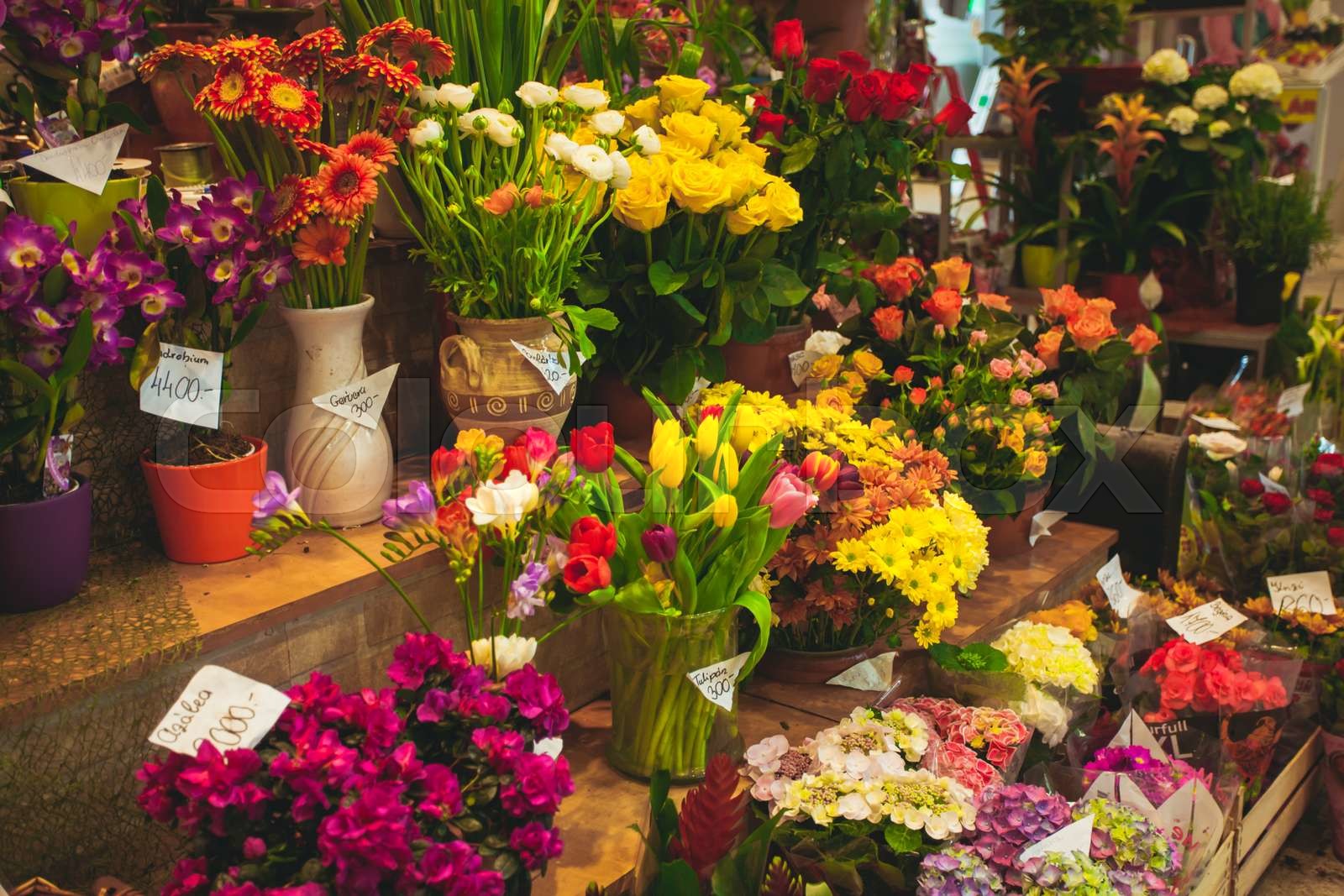 The flower market | Stock image | Colourbox