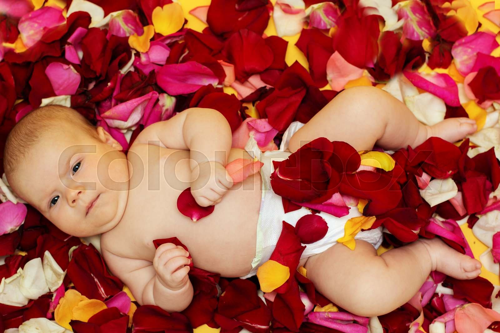 Pretty baby girl lying on petal of roses | Stock image | Colourbox