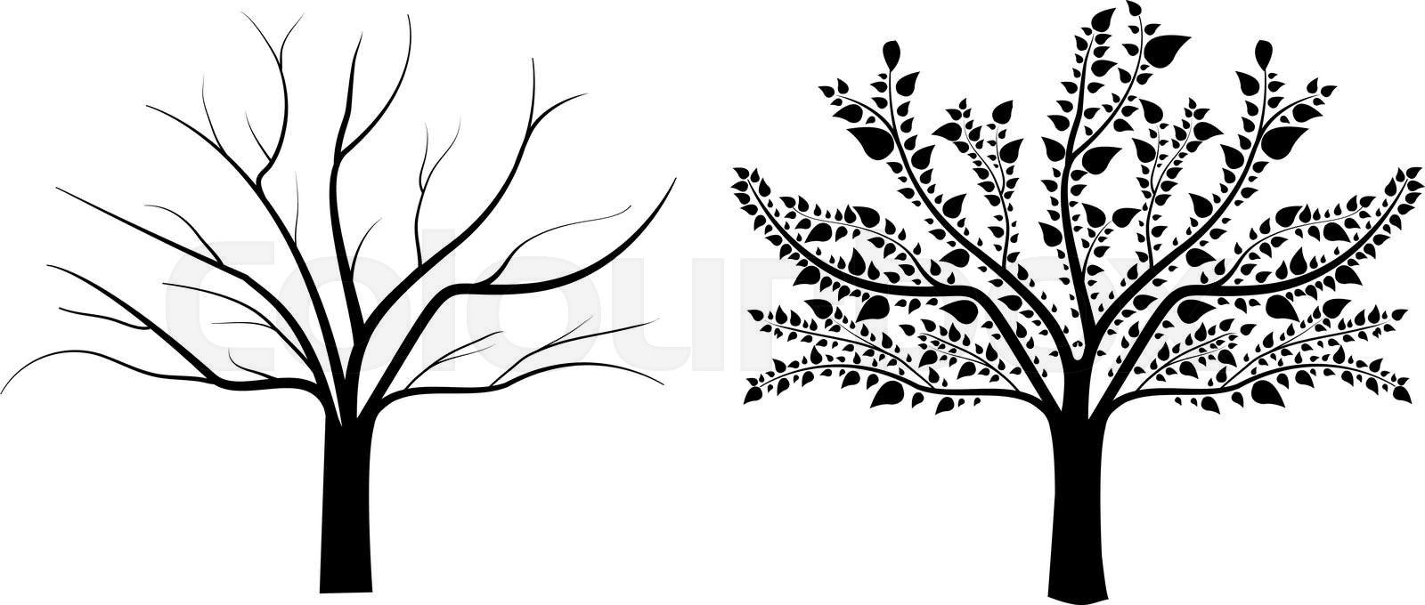 Tree | Stock vector | Colourbox