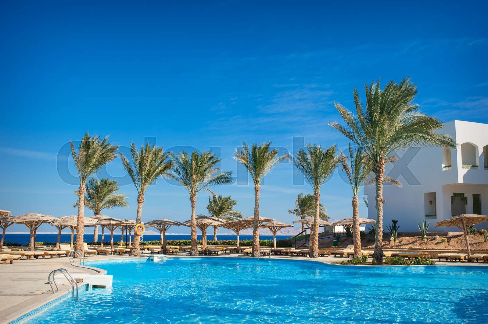 outdoor swimming pool in summer | Stock image | Colourbox