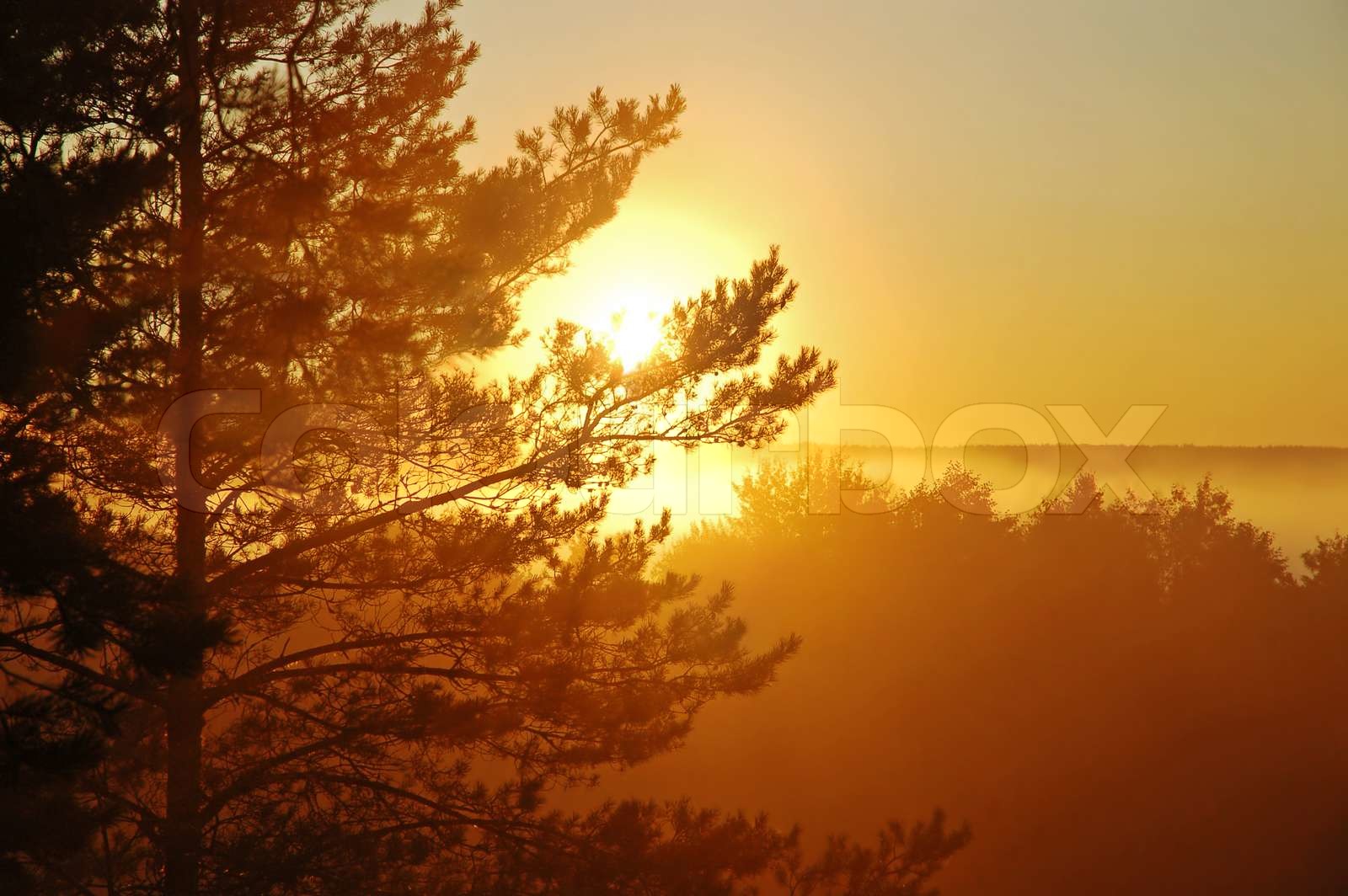 Early mist morning and beautiful sunrise | Stock image | Colourbox