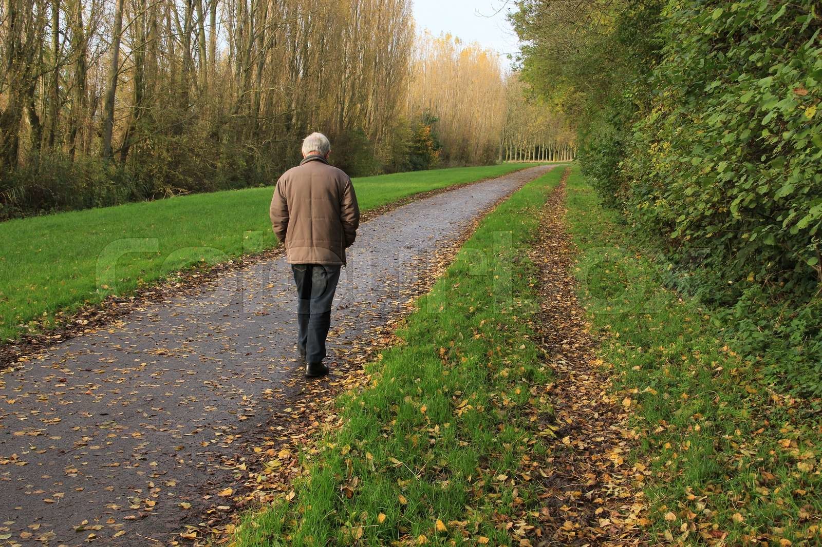 The solitary sad man is walking in the park at the country side in the ...
