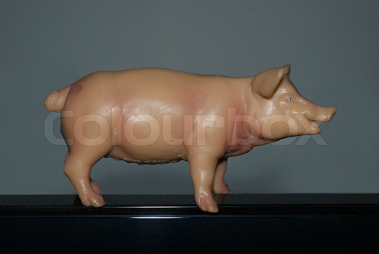 Miniature plastic pig | Stock image | Colourbox