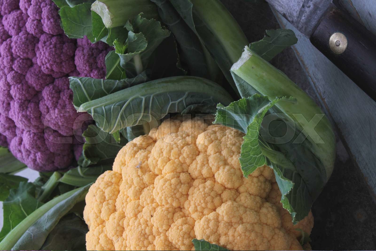 heritage cauliflower | Stock image | Colourbox