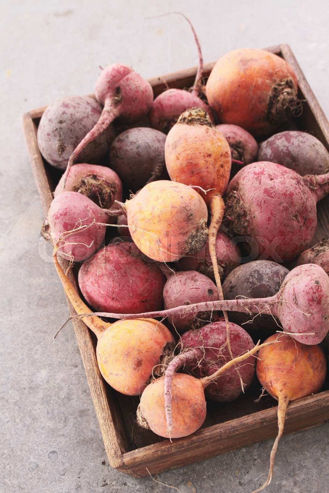 beetroot selection | Stock image | Colourbox