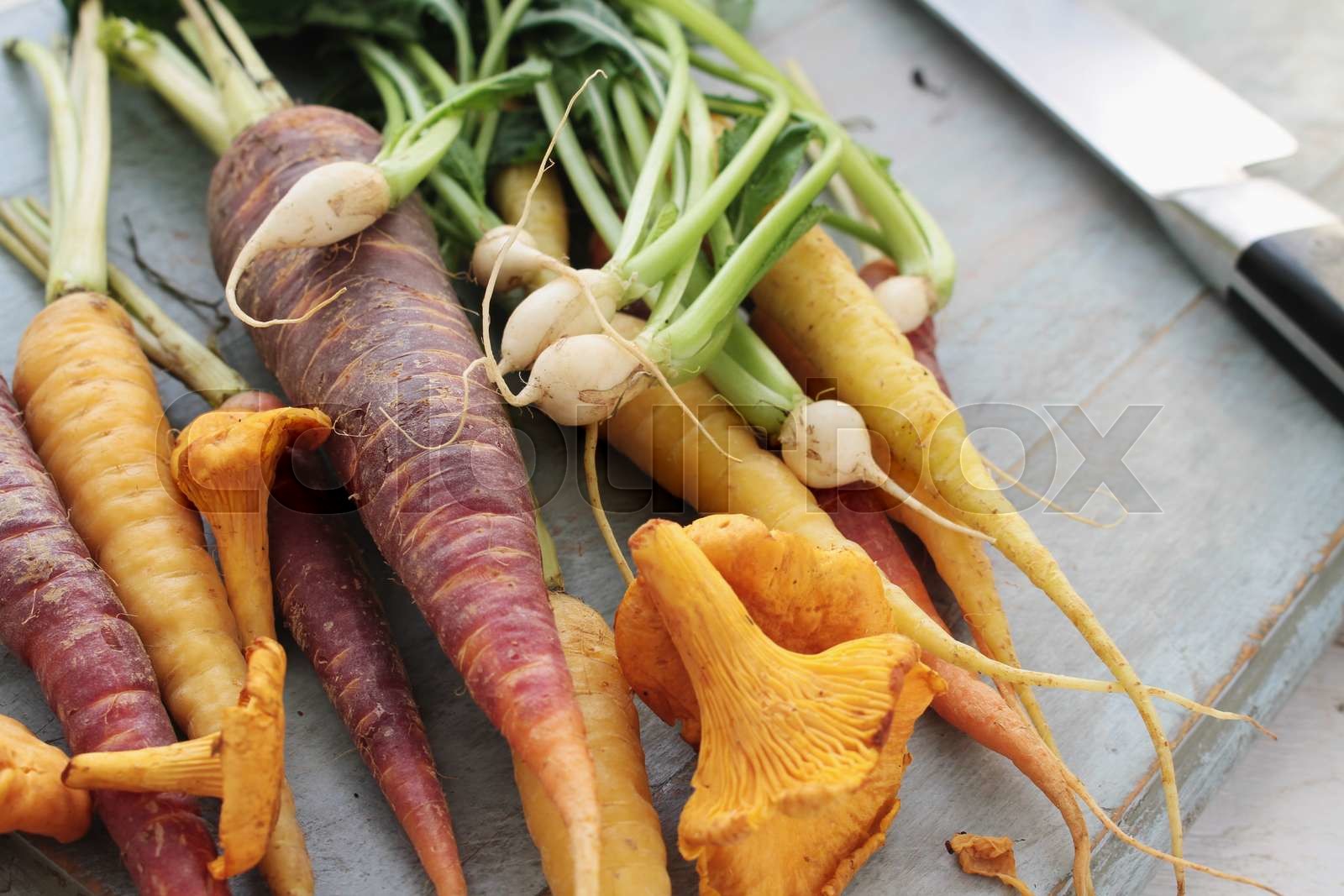 autumn vegetables | Stock image | Colourbox