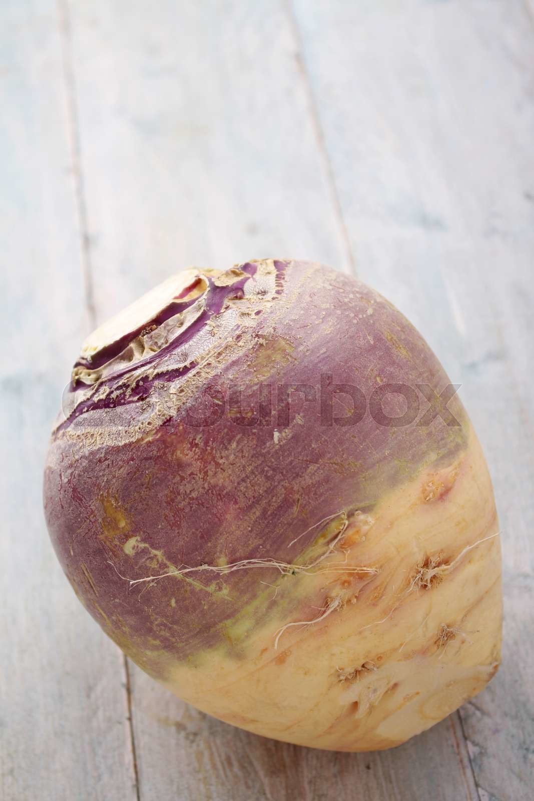 fresh whole swede | Stock image | Colourbox