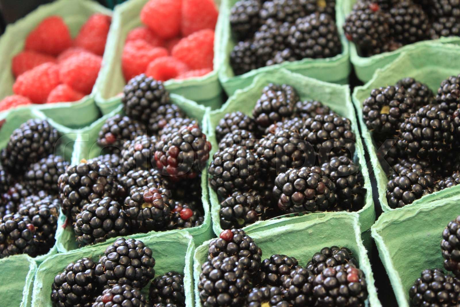berry fruit punnets | Stock image | Colourbox