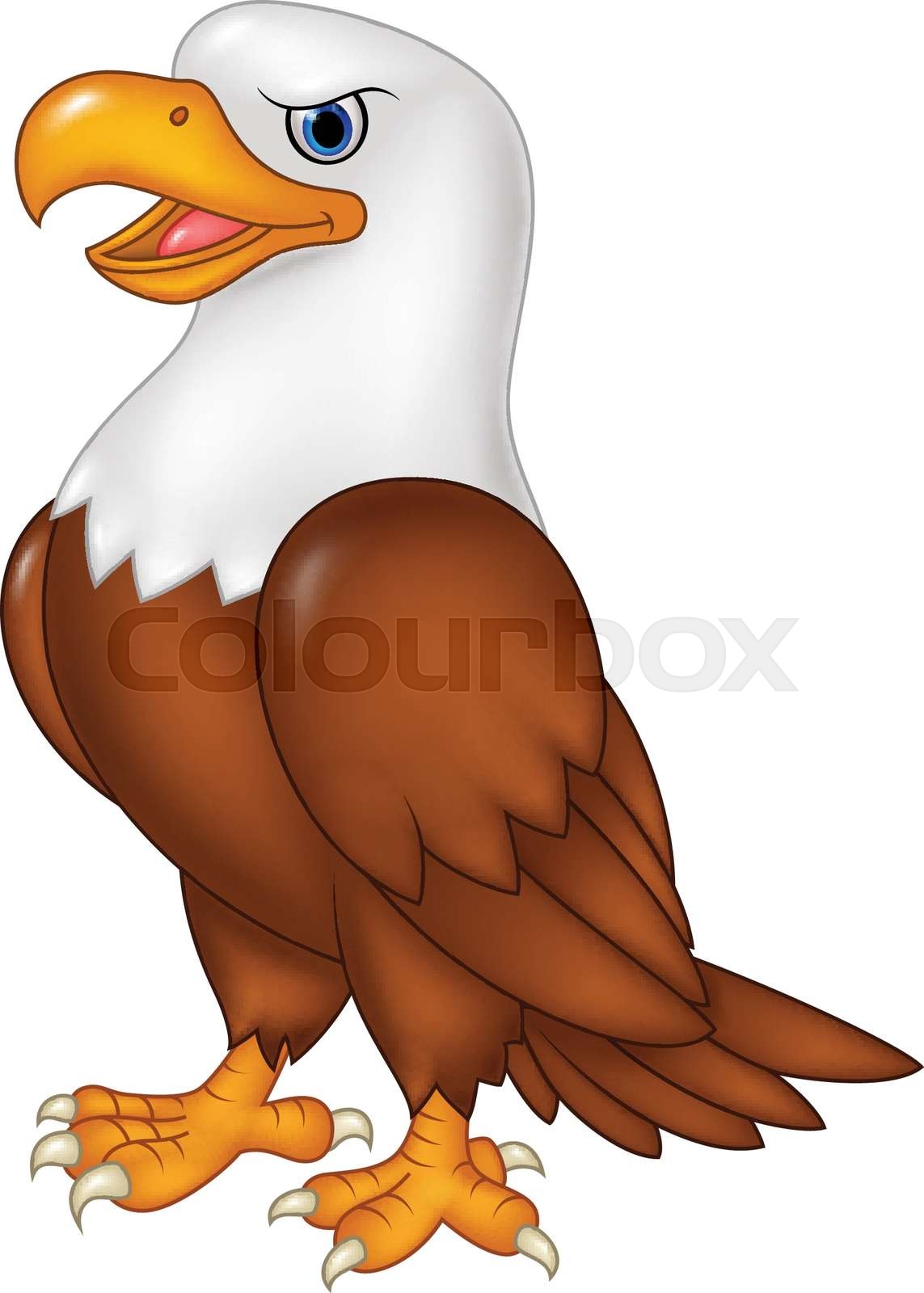Cartoon eagle posing. Isolated on white background | Stock vector ...