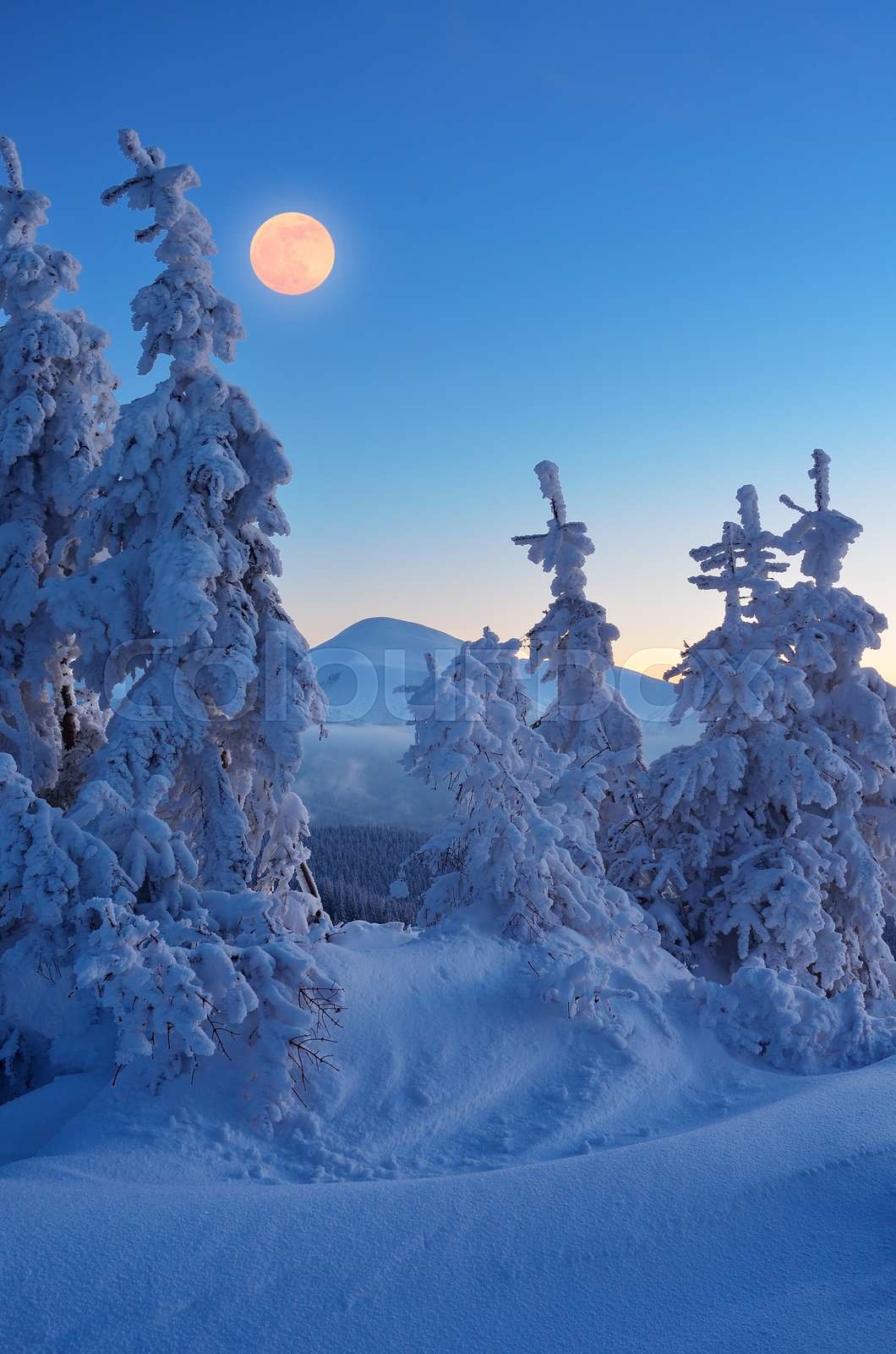 Full moon in winter | Stock image | Colourbox