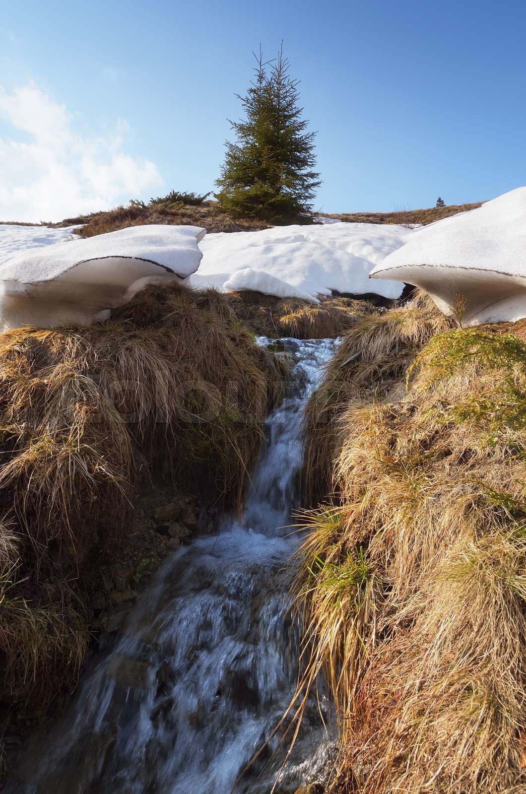 Spring Brook | Stock image | Colourbox