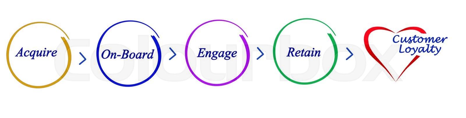 Diagram of Loyalty | Stock image | Colourbox