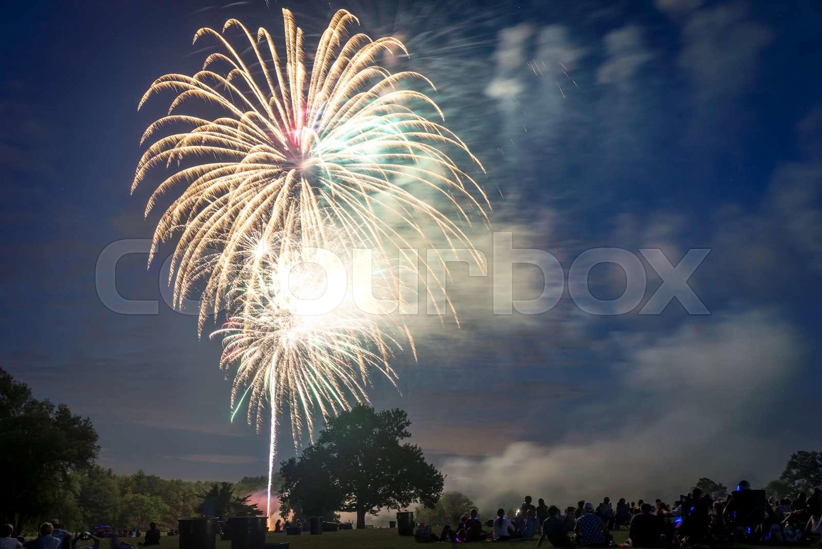 People looking at fireworks in honor of Independence Day | Stock image ...