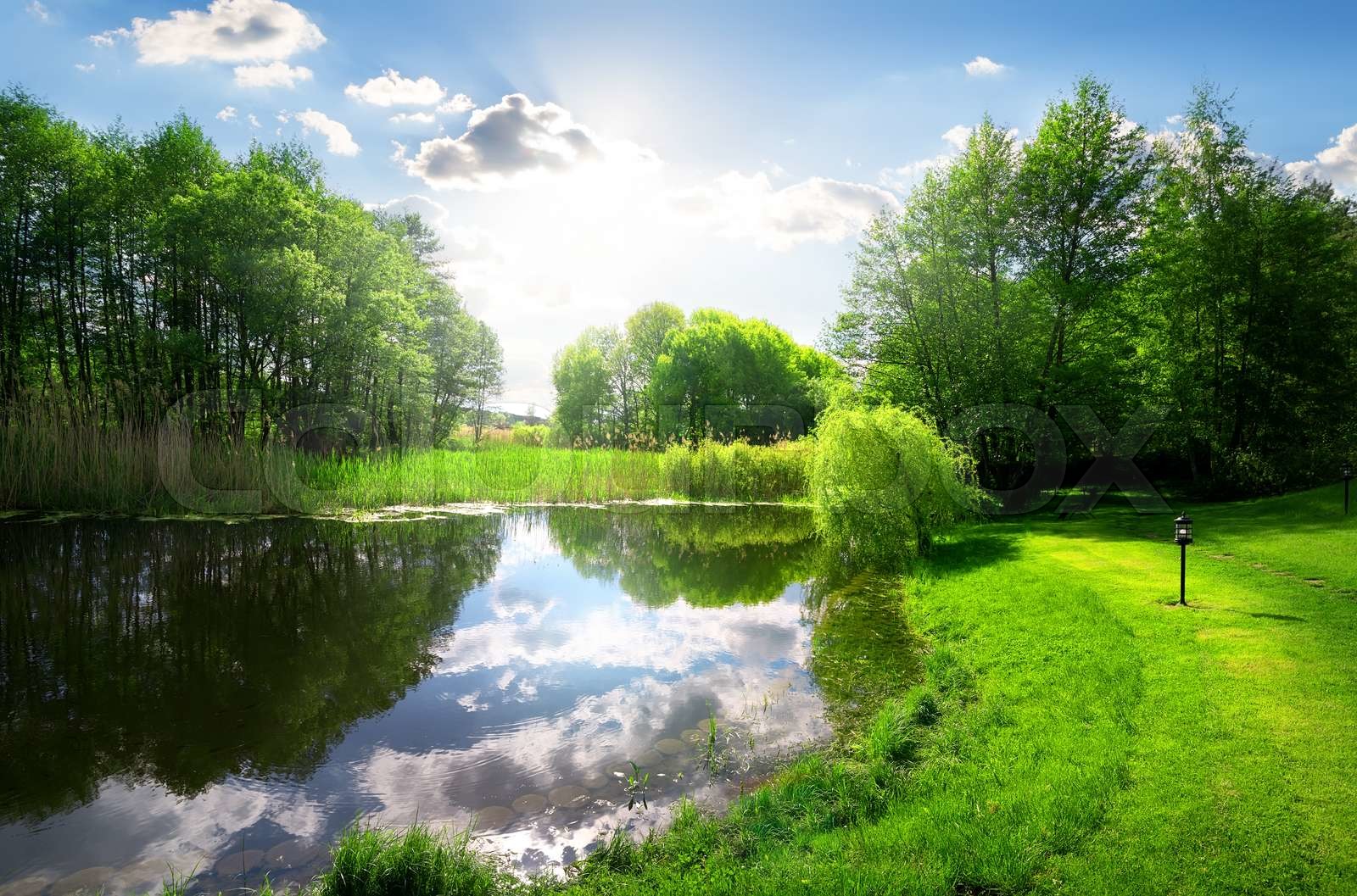 Green park near river | Stock image | Colourbox