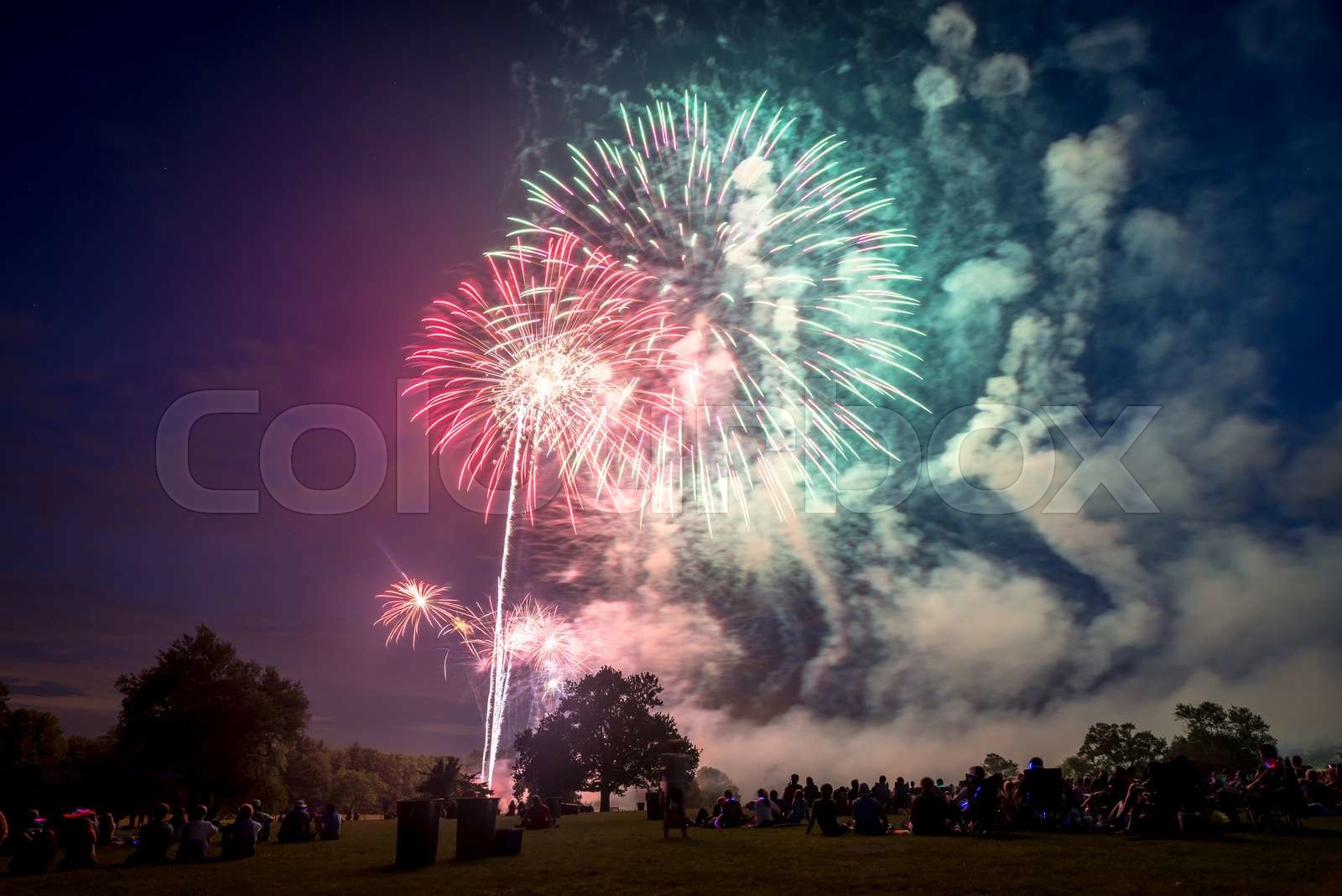 People looking at fireworks in honor of Independence Day | Stock image ...