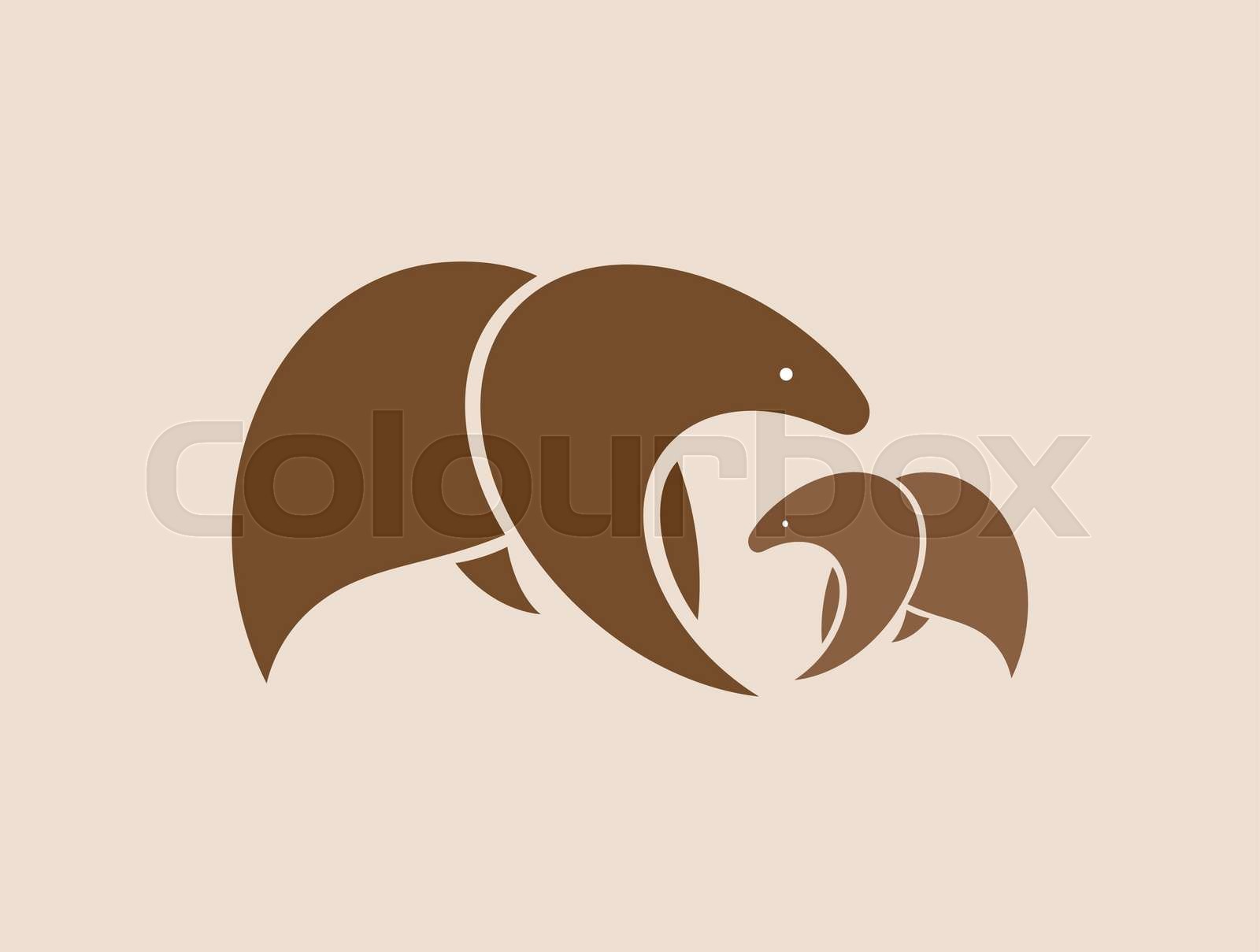 Vector images of two brown bears. | Stock vector | Colourbox