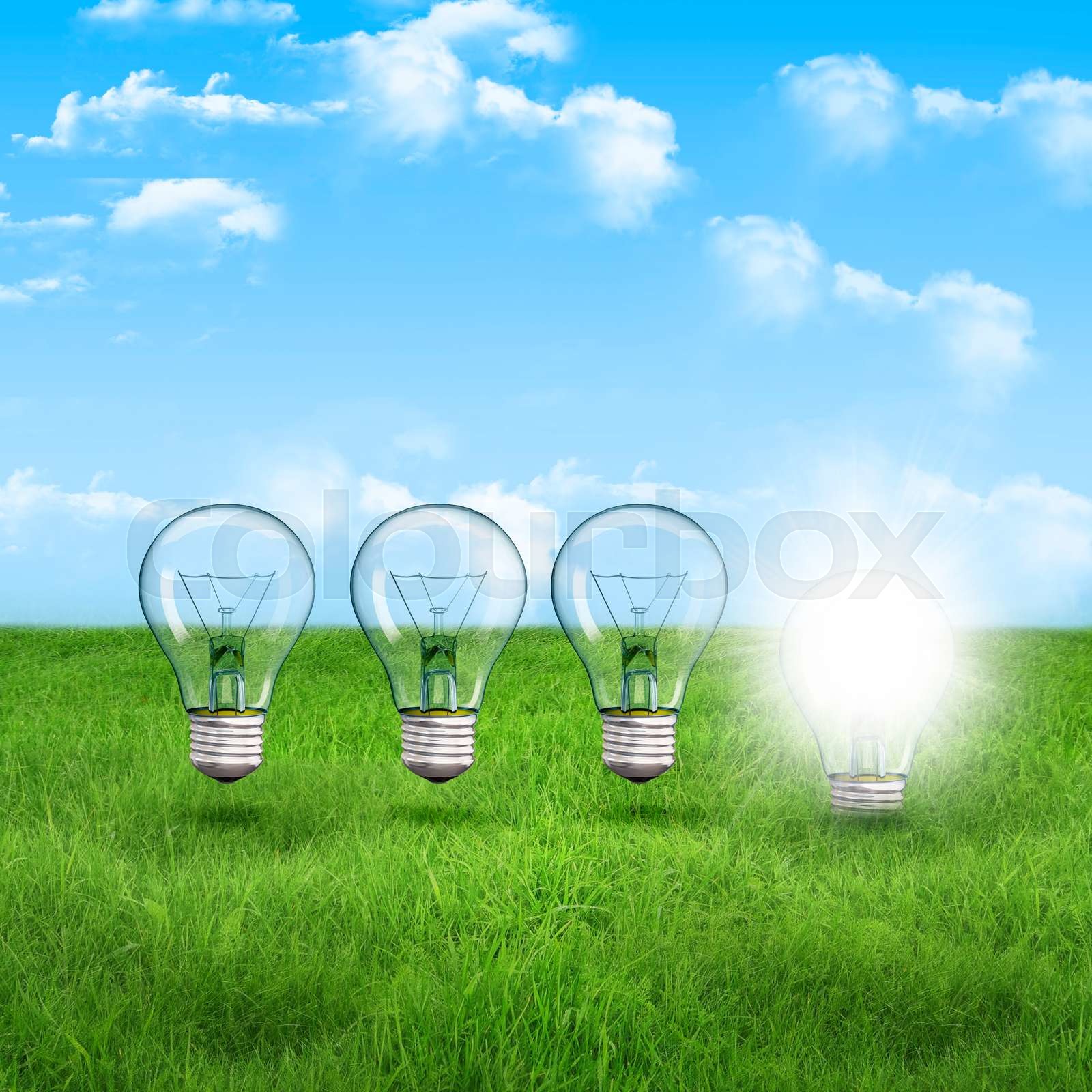 light bulb on the green grass | Stock image | Colourbox