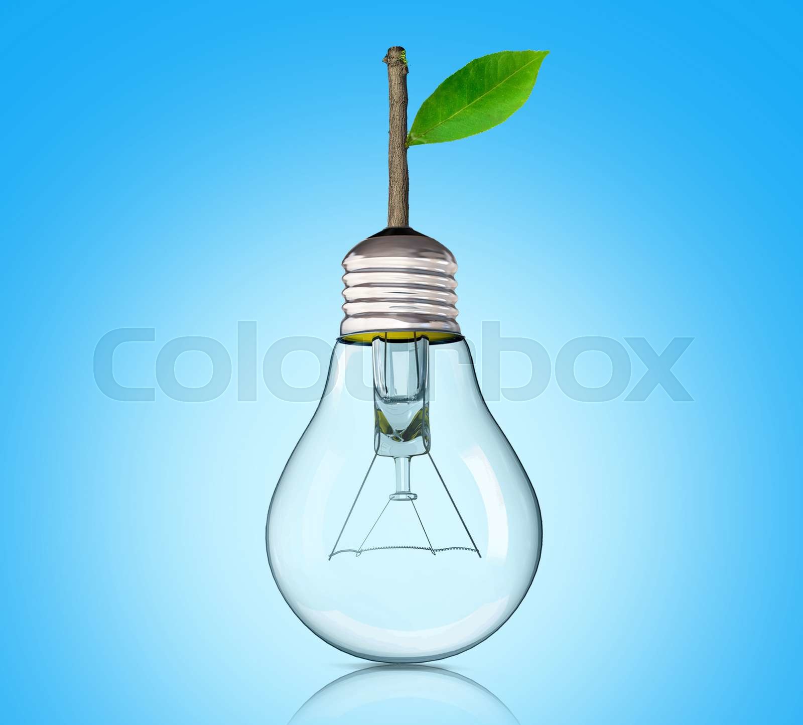 Light Bulb with sprout | Stock image | Colourbox