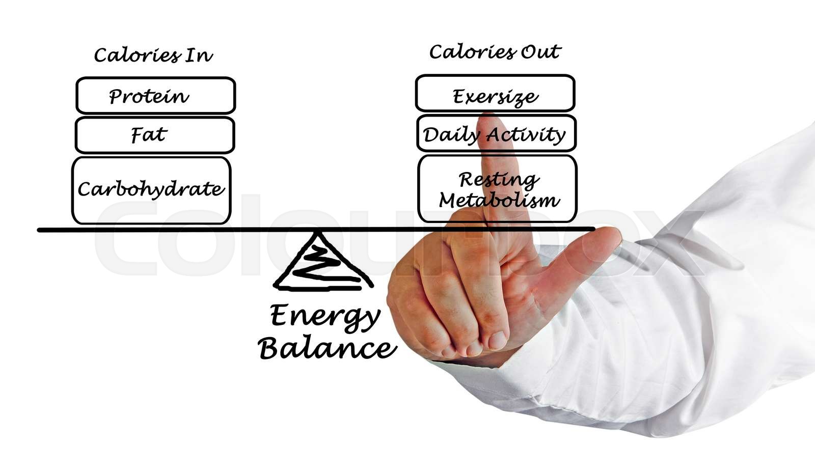 Balance between Energy intake and Energy expenditure | Stock image ...