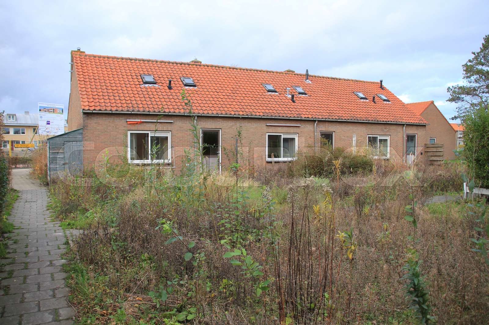 Terraced houses and uninhabitable homes and poorly maintained backyard ...