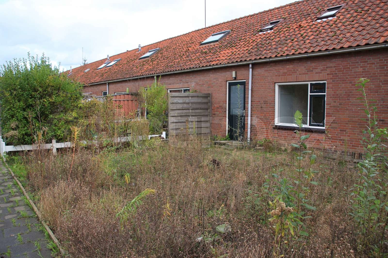 Terraced houses with uninhabitable homes and poorly maintained backyard ...