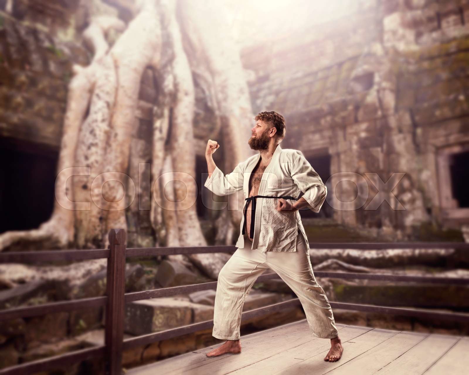 Fat karate fighter | Stock image | Colourbox