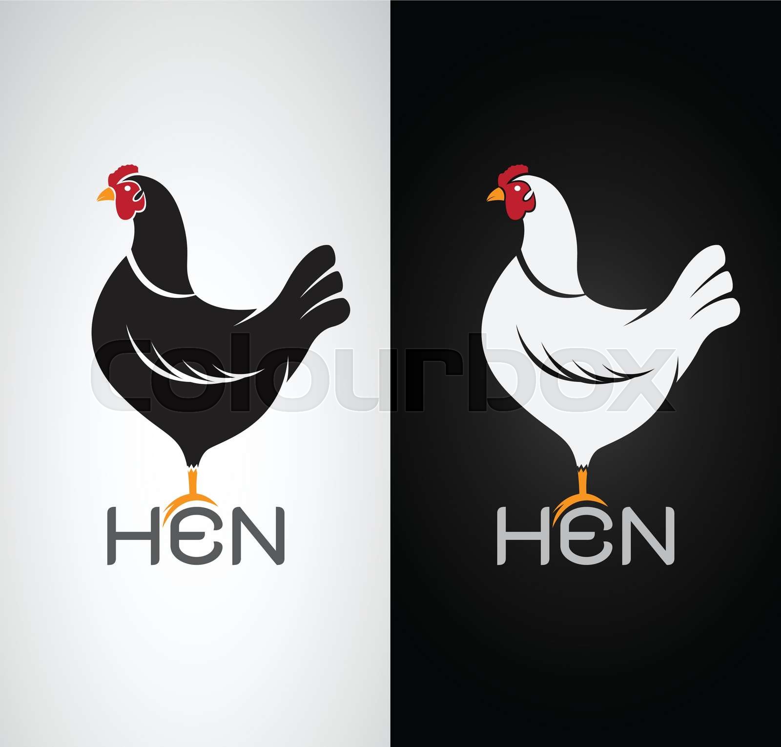 Vector image of an hen design on white background and black background ...