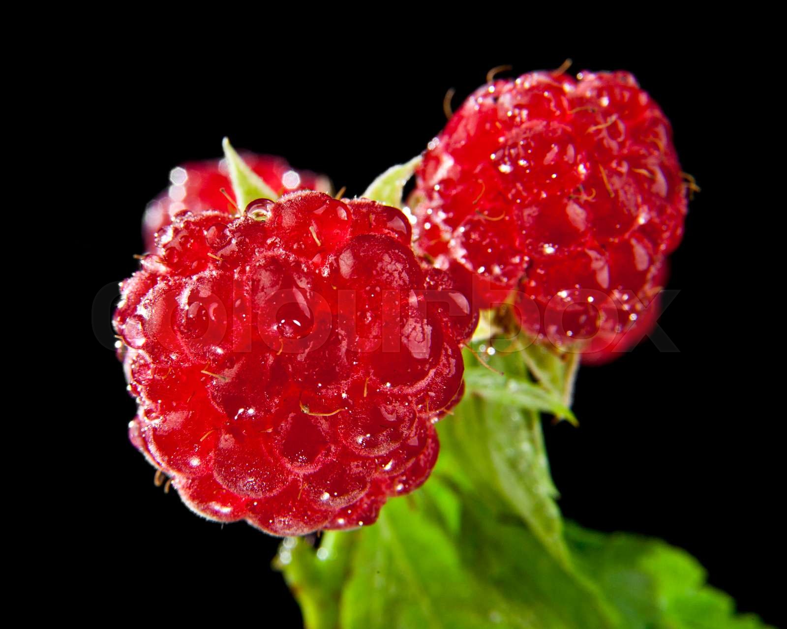 juicy raspberry | Stock image | Colourbox