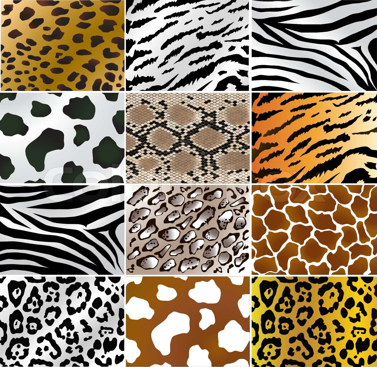 Illustation of different animals and snakes skins | Stock vector ...