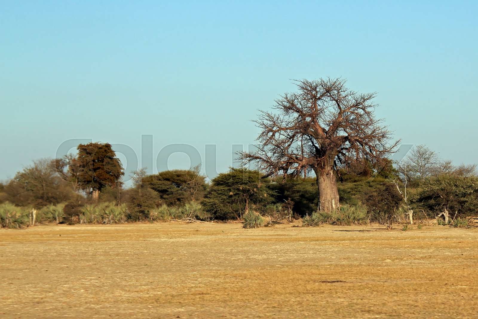 Mahangu National Park | Stock image | Colourbox