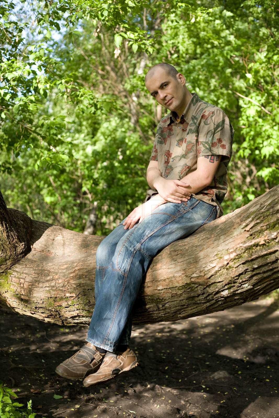 Young Man Sitting On The Tree | Stock image | Colourbox